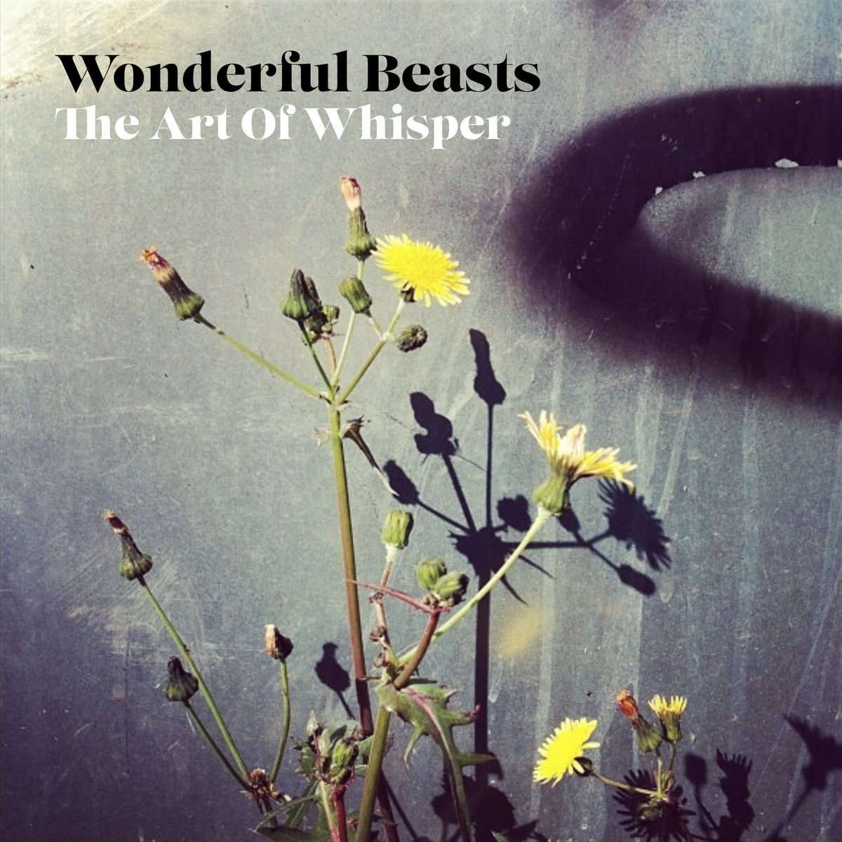 Album Review: Wonderful Beasts – The Art of Whisper - Joyzine