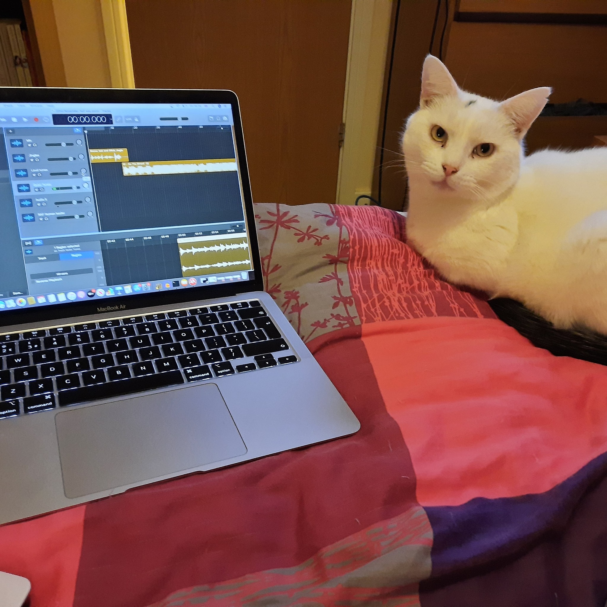 Interview: Backstreetradio DJ Paul Barker - Joyzine