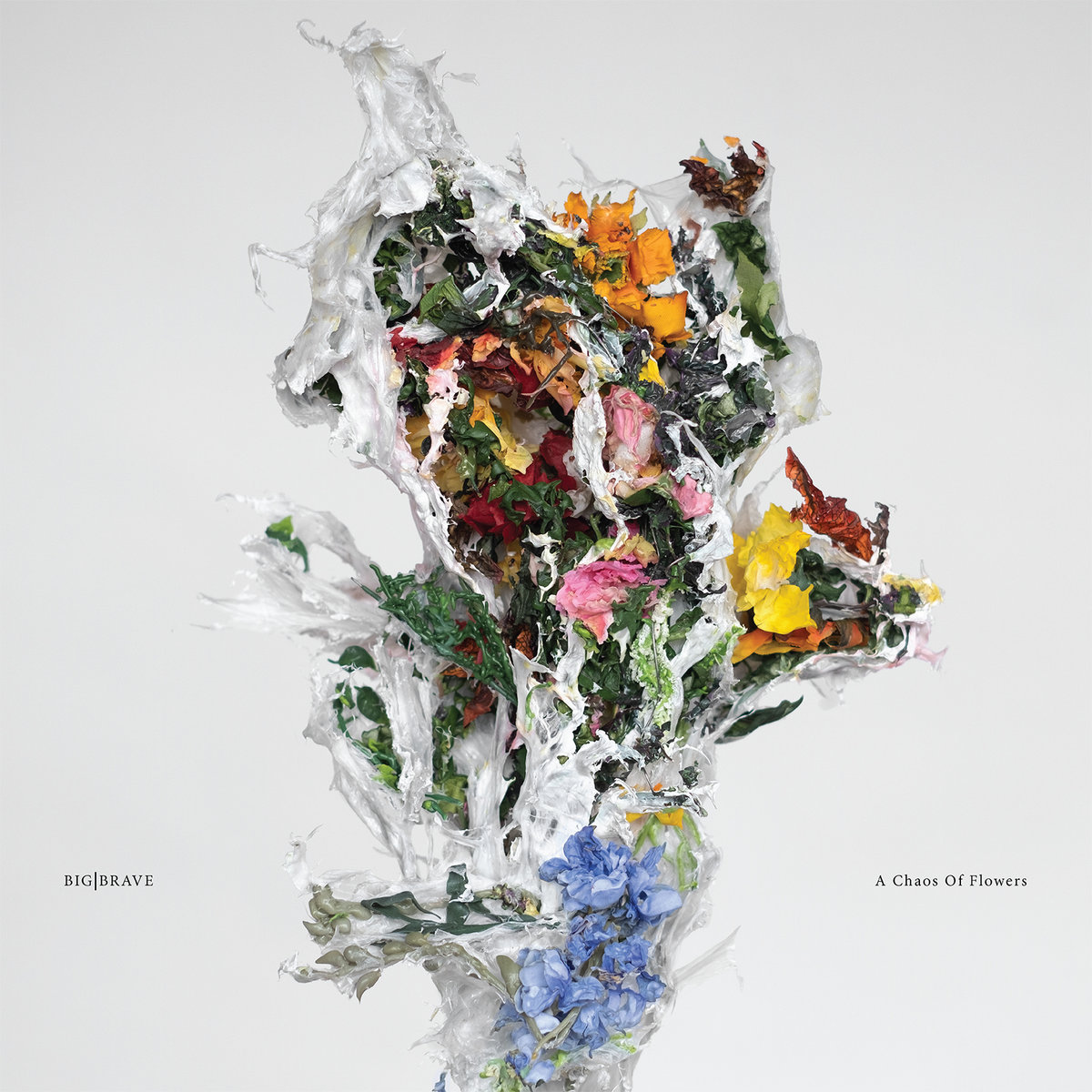 ALBUM REVIEW – BIG|BRAVE-A CHAOS OF FLOWERS - Joyzine