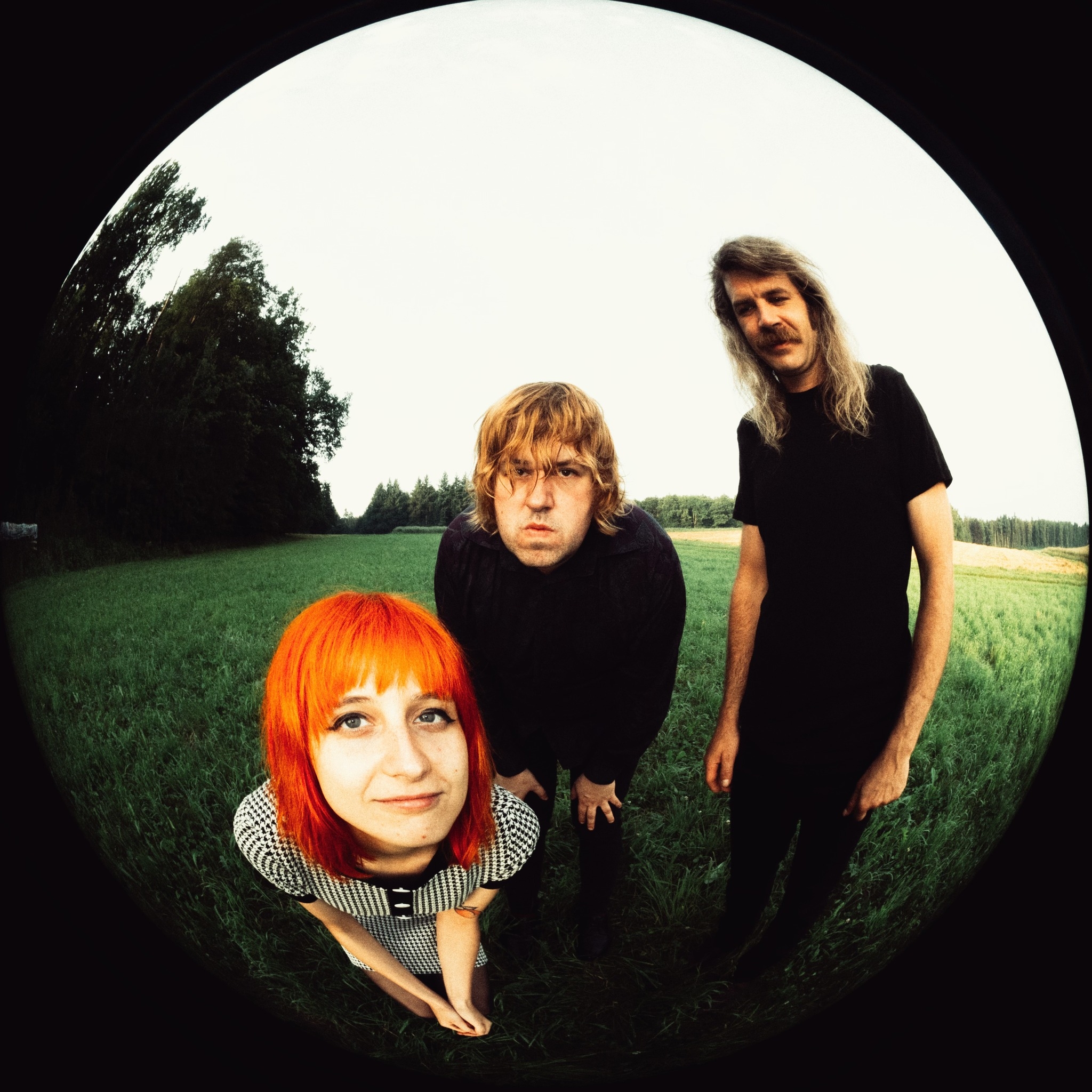 Album Review- Bikini Beach- Cursed - Joyzine